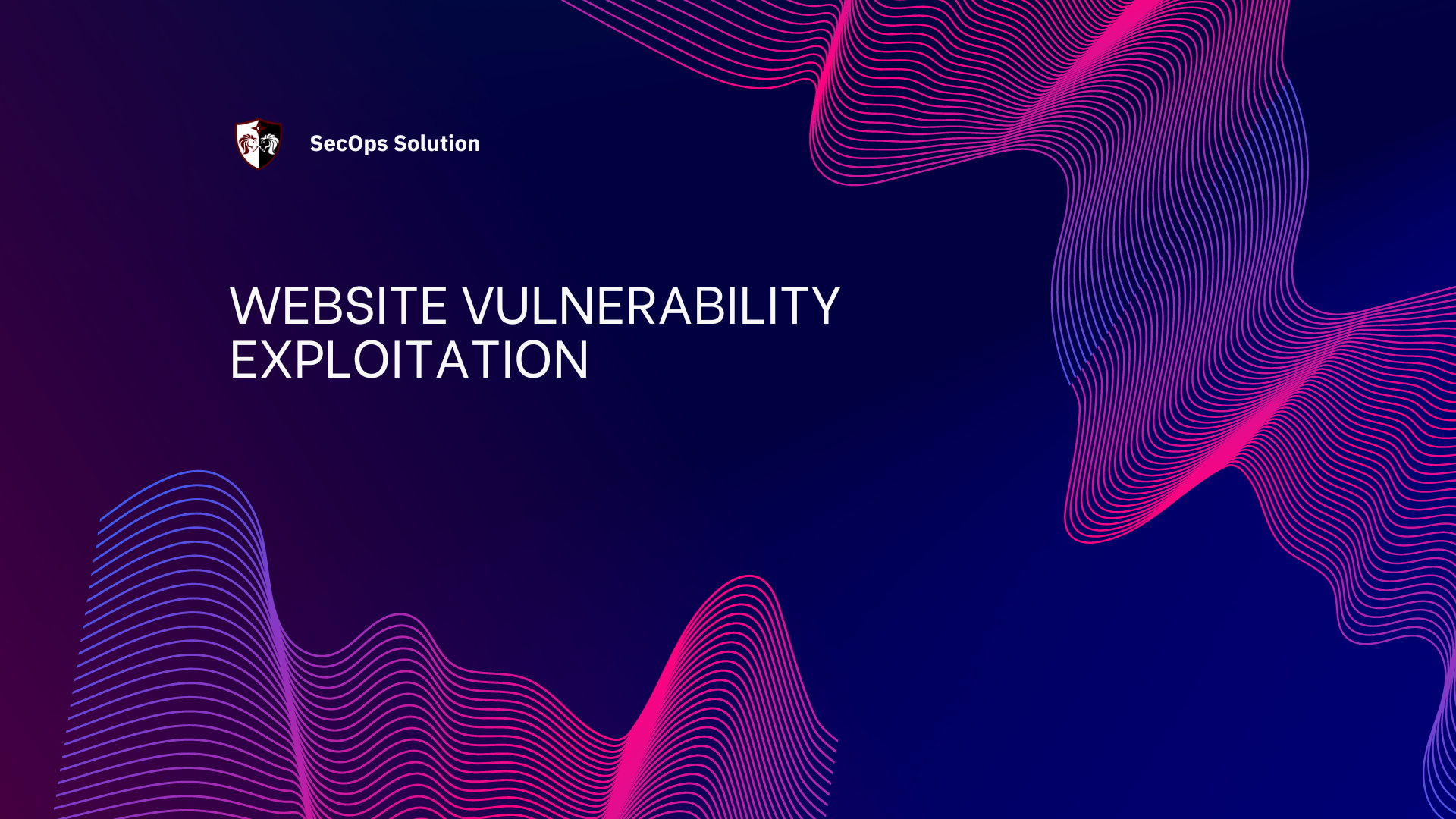 What is website vulnerability and how can it be exploited? | SecOps® Solution